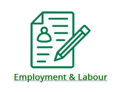 S'Thesha Waya Waya: how to find KZN jobs on the new portal - Hypertext