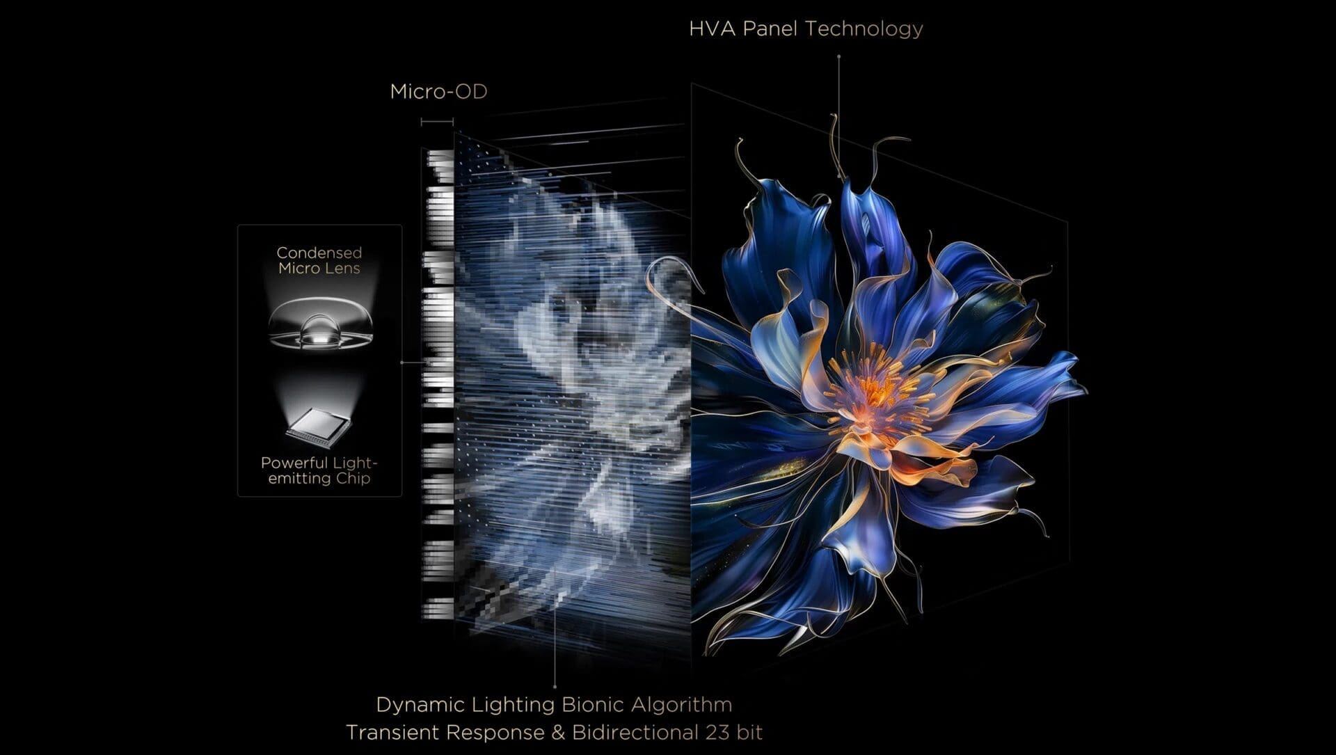 TCL drives innovation in the evolving TV landscape with groundbreaking All-Domain Halo Control ...